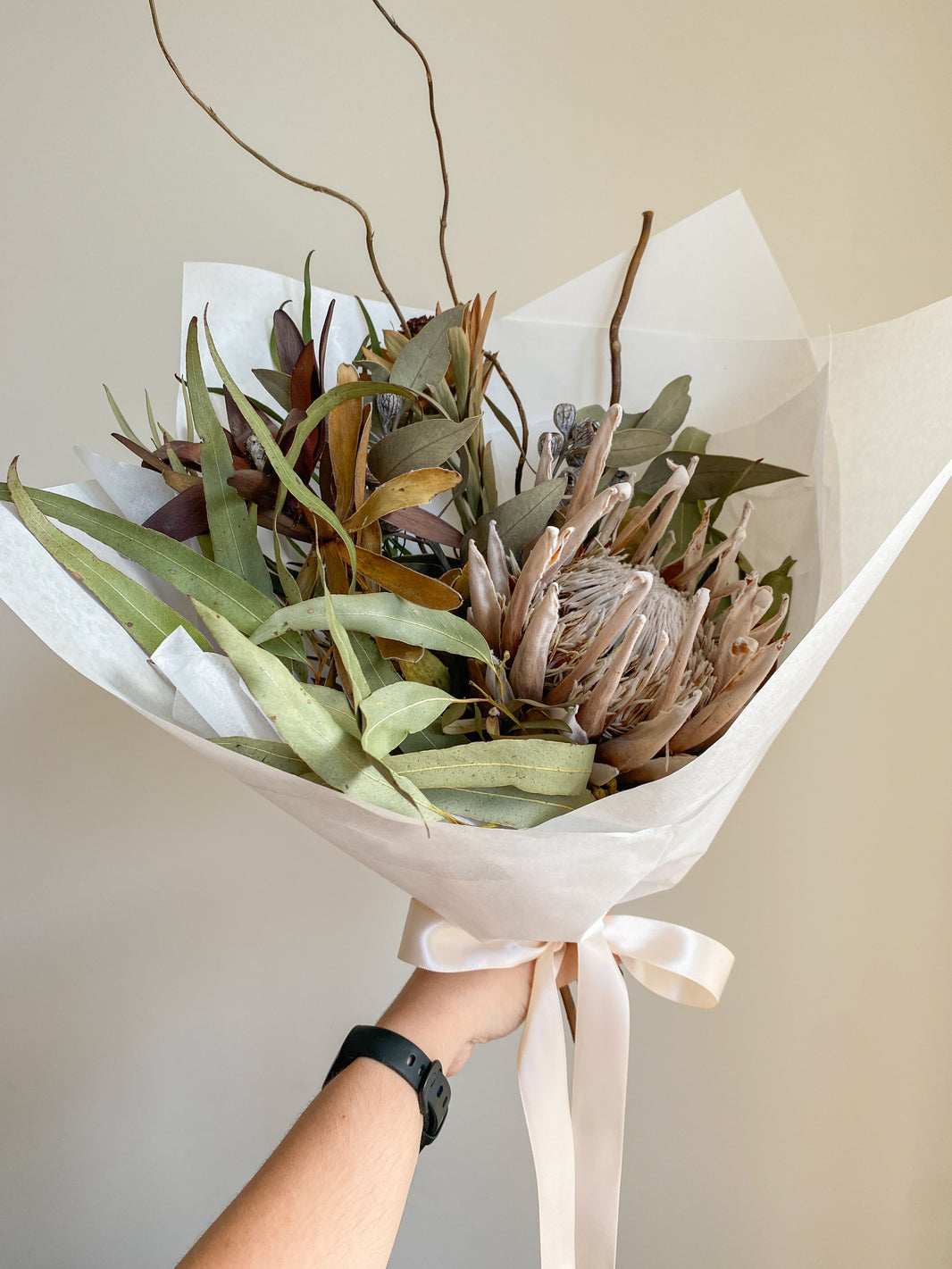 Dried Natives – Bitter Banksia