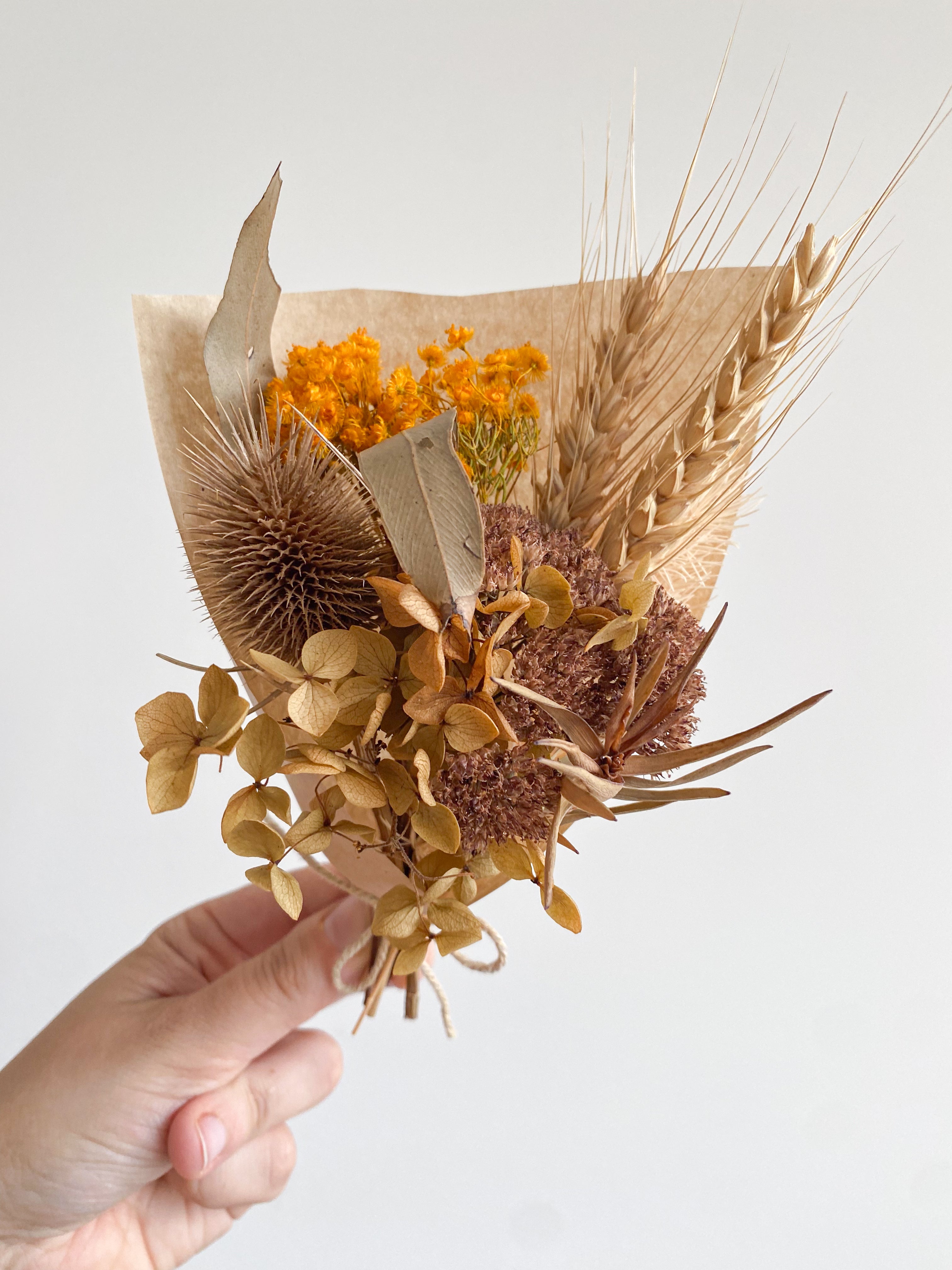 Mini dried posy bouquets – Bitter Banksia