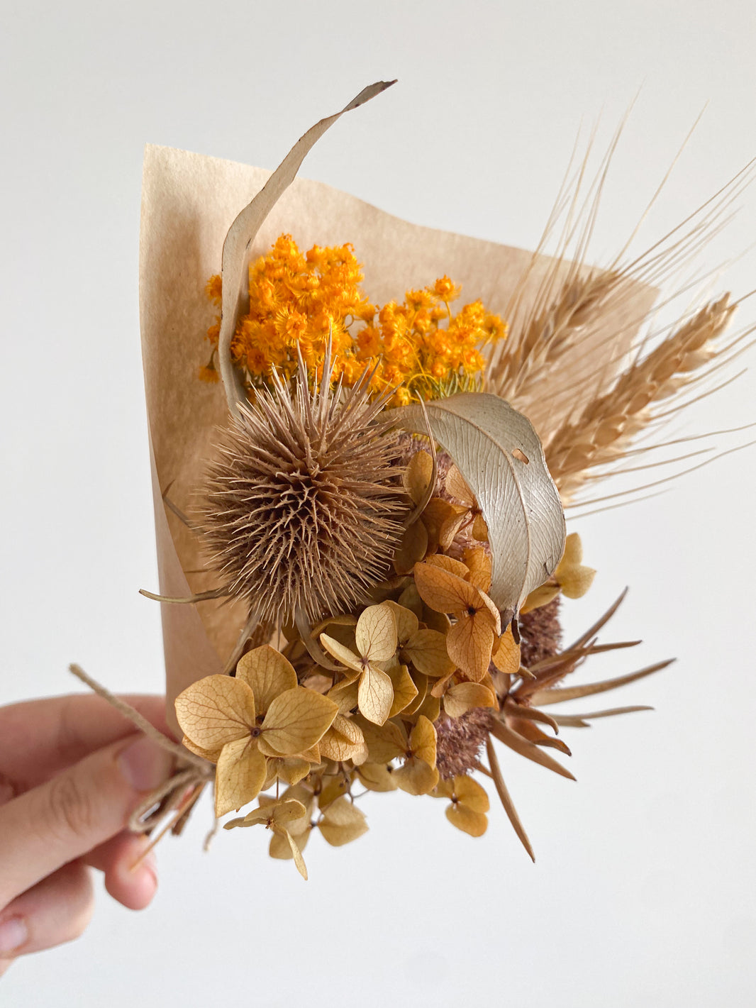 Mini dried posy bouquets – Bitter Banksia