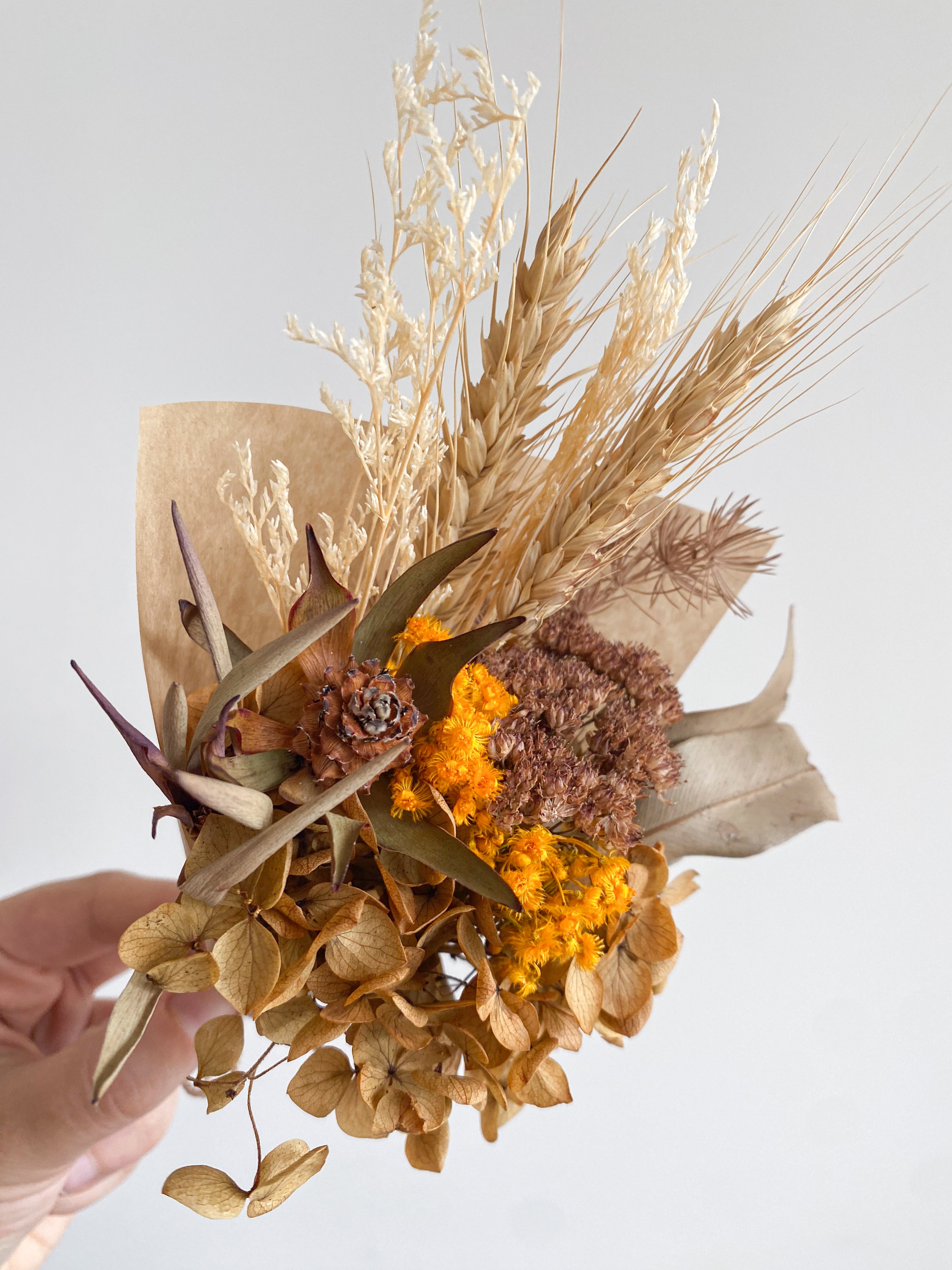 Mini dried posy bouquets – Bitter Banksia
