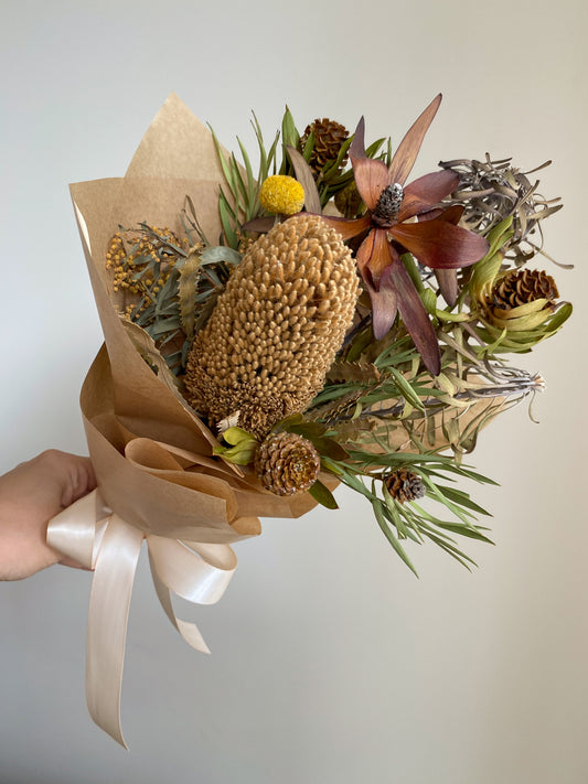 Dried Natives – Bitter Banksia